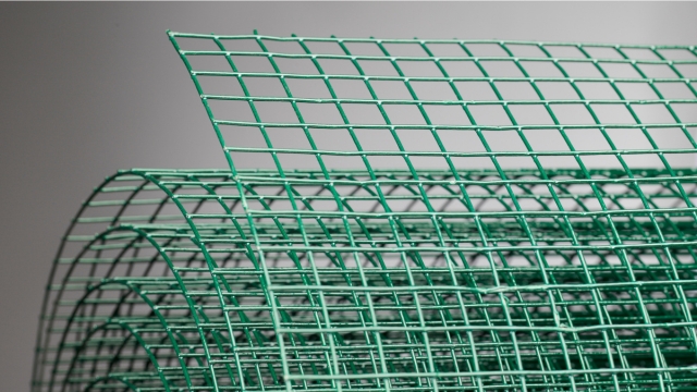 Come eliminare le talpe dal giardino? 11 metodi efficaci