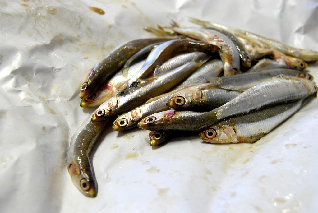 Come eliminare le talpe dal giardino? 11 metodi efficaci