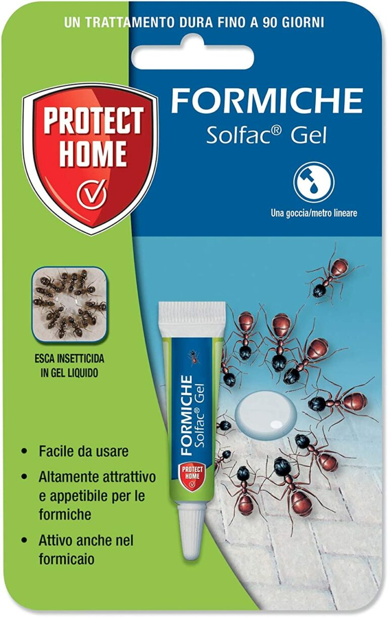 Migliori esche per formiche: ecco le 6 più efficaci
